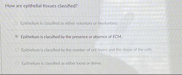 Solved How are epithelial tissues classified? Epithelium is | Chegg.com