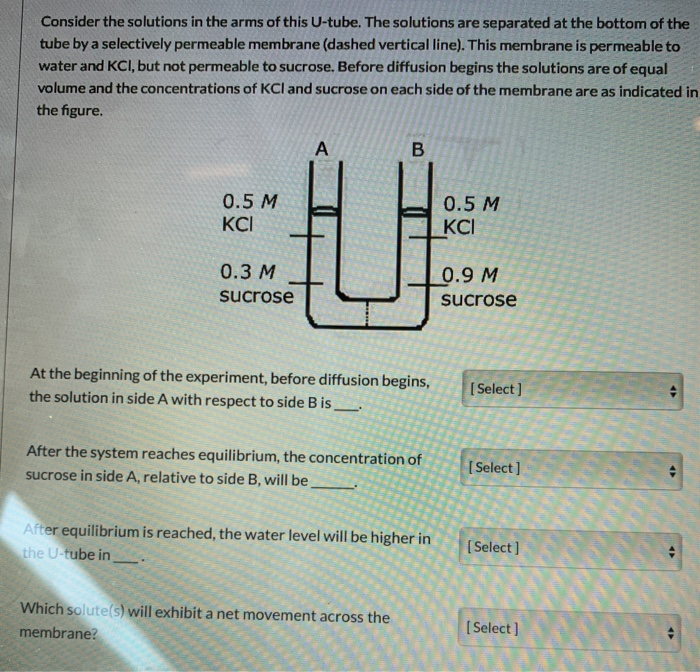 Consider the solutions in the arms of this U-tube. | Chegg.com