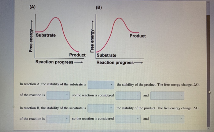 Given the reaction progress curves for two different | Chegg.com