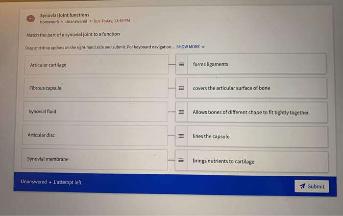 Solved Synovial joint functions Homework. Unanswered. Due | Chegg.com