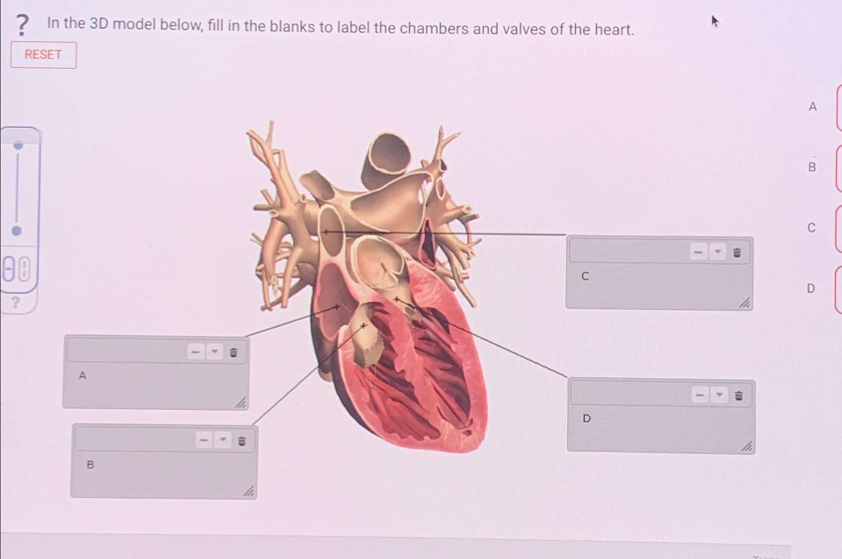 Solved ? ﻿In the 3D model below, fill in the blanks to label | Chegg.com
