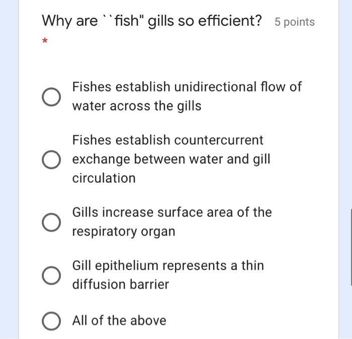 Solved Why are "fish" gills so efficient? 5 points Fishes | Chegg.com