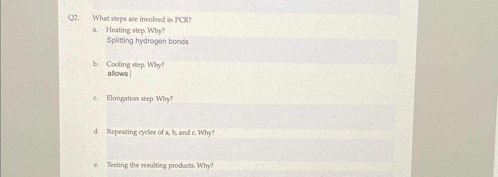 Solved Q2. ﻿What steps are involved in PCR?a. ﻿Heating step. | Chegg.com