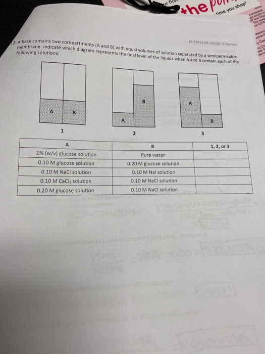 Solved the time you shop yen SA flask contains two | Chegg.com