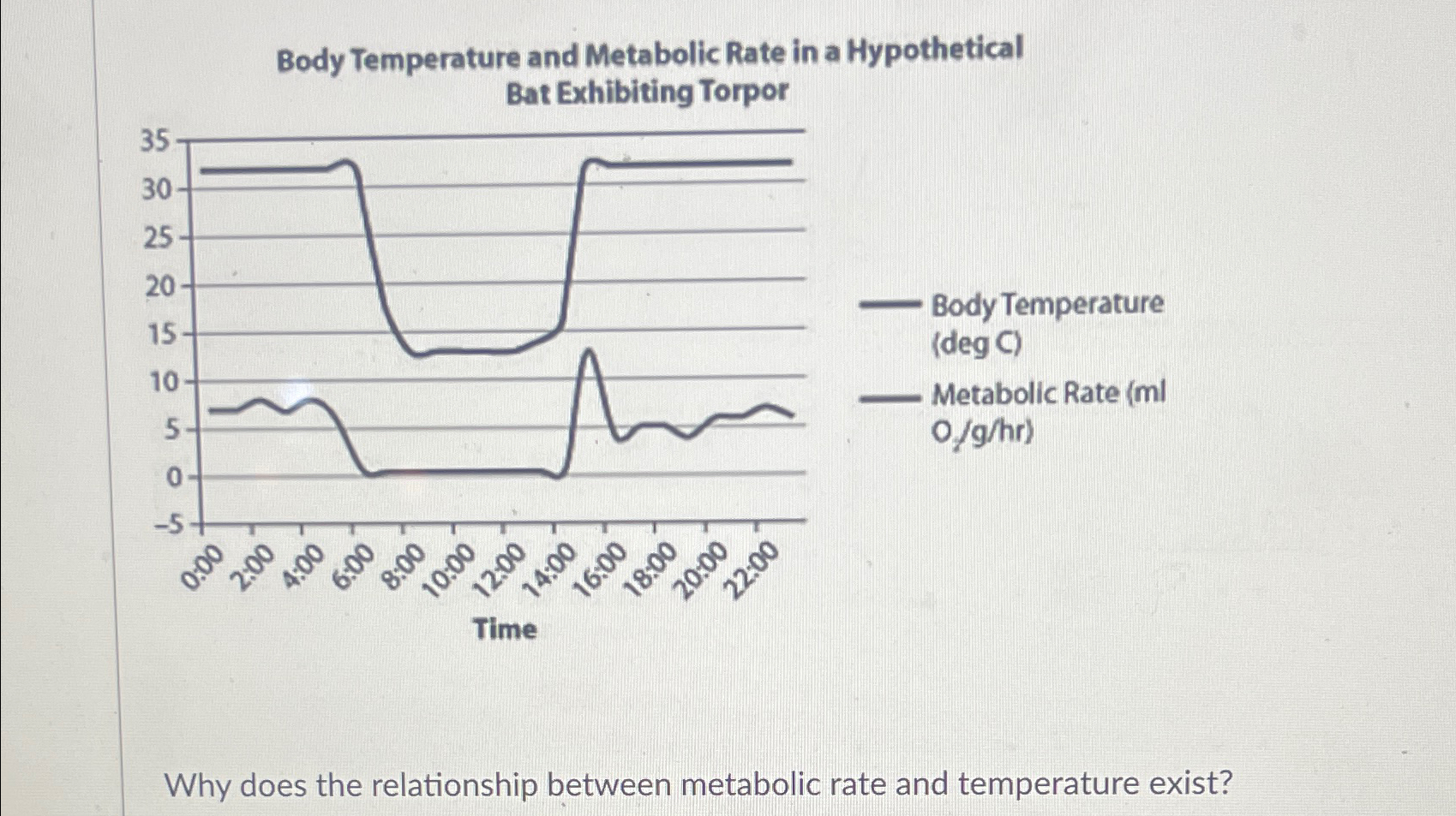 Solved Body Temperature and Metabolic Rate in a Hypothetical | Chegg.com