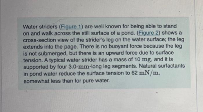 Water striders (Figure 1) are well known for being | Chegg.com
