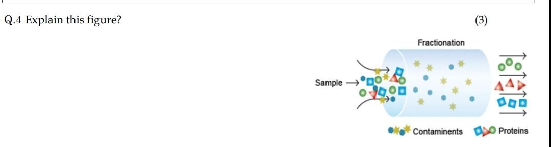Solved Q.4 Explain this figure? Fractionation Sample → po | Chegg.com