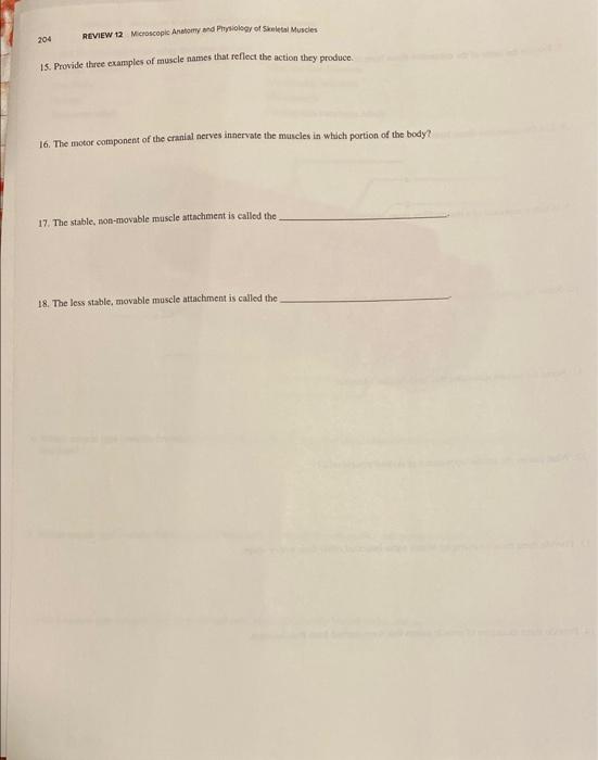 Solved EXERCISE 12 REVIEW SECTION Microscopic Anatomy and | Chegg.com