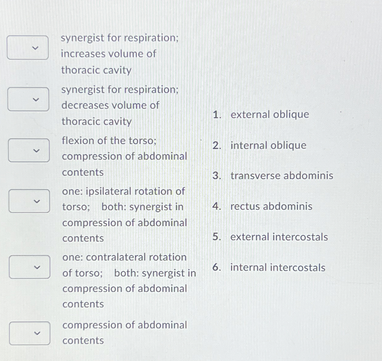 Solved q, ﻿synergist for respiration; increases volume of | Chegg.com