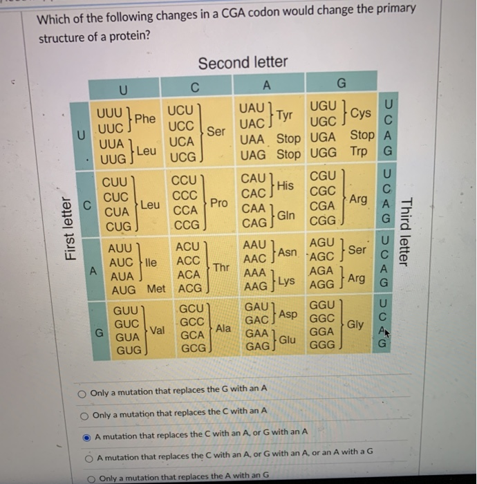 Solved Which of the following changes in a CGA codon would | Chegg.com