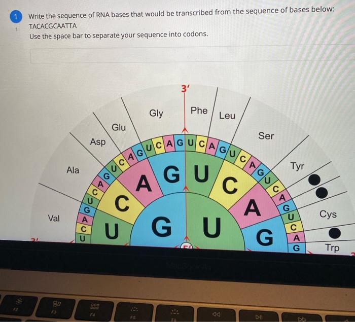 Solved 44 GUCA GUCA GUC/ 1 Write the sequence of RNA bases | Chegg.com