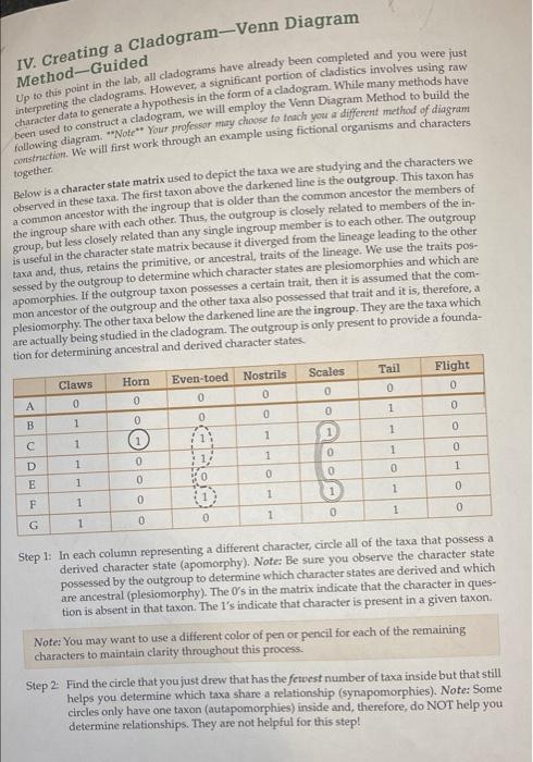 Solved IV. Creating a Cladogram--Venn Diagram Method-Guided | Chegg.com
