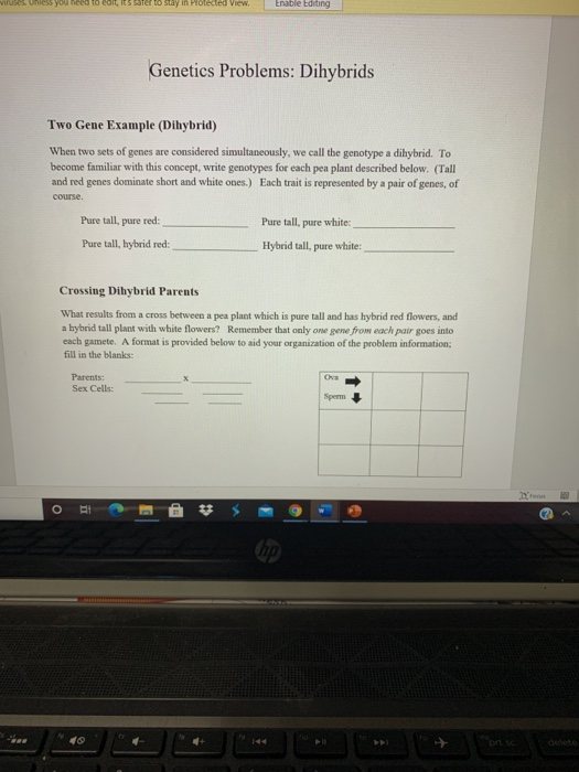 Solved Genetics Problems: Dihybrids Two Gene Example | Chegg.com