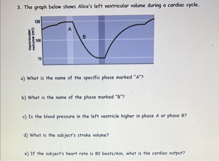 Solved 3. The graph below shows Alice's left ventricular | Chegg.com