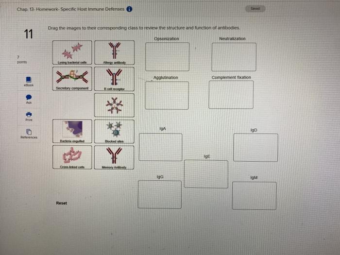 Solved Chap 13 Homework. Specific Host Immune Defenses Drag | Chegg.com