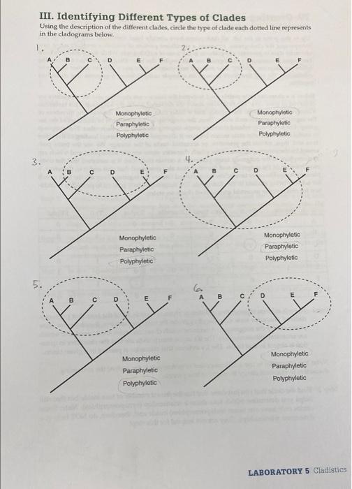Solved III. Identifying Different Types of Clades Using the | Chegg.com
