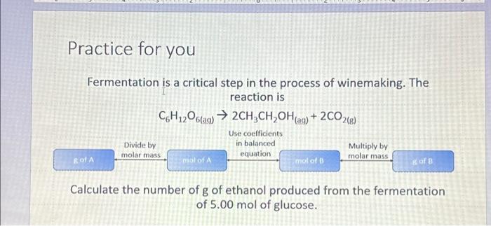Solved Practice for you Fermentation is a critical step in | Chegg.com