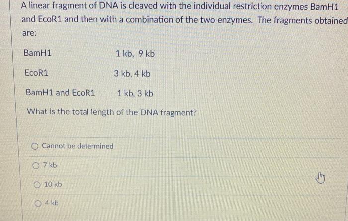 Solved A Linear Fragment Of Dna Is Cleaved With The 4893