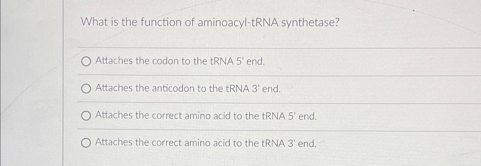 Solved What is the function of aminoacyl-tRNA | Chegg.com