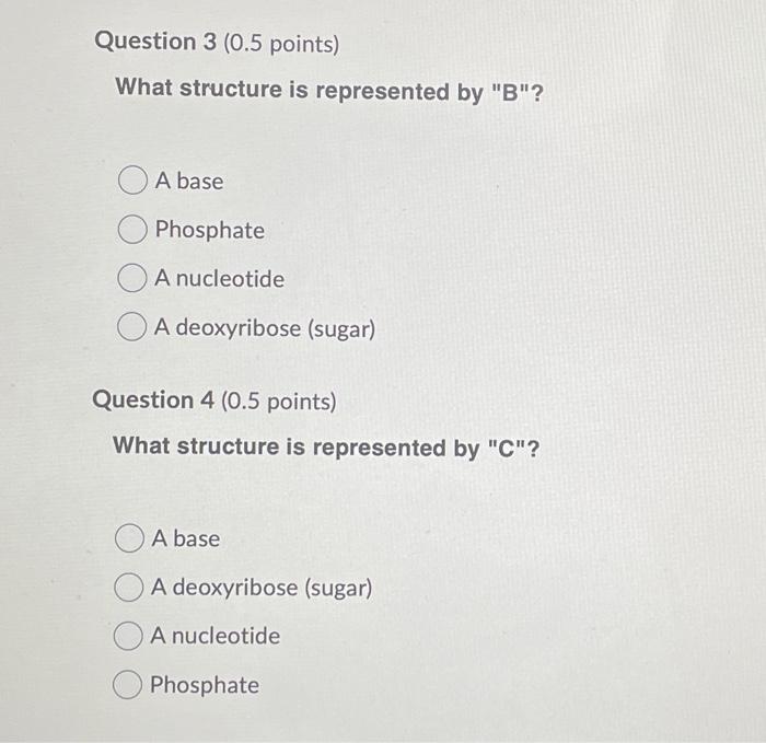 Solved What structure is represented by "A"? Phosphate A | Chegg.com