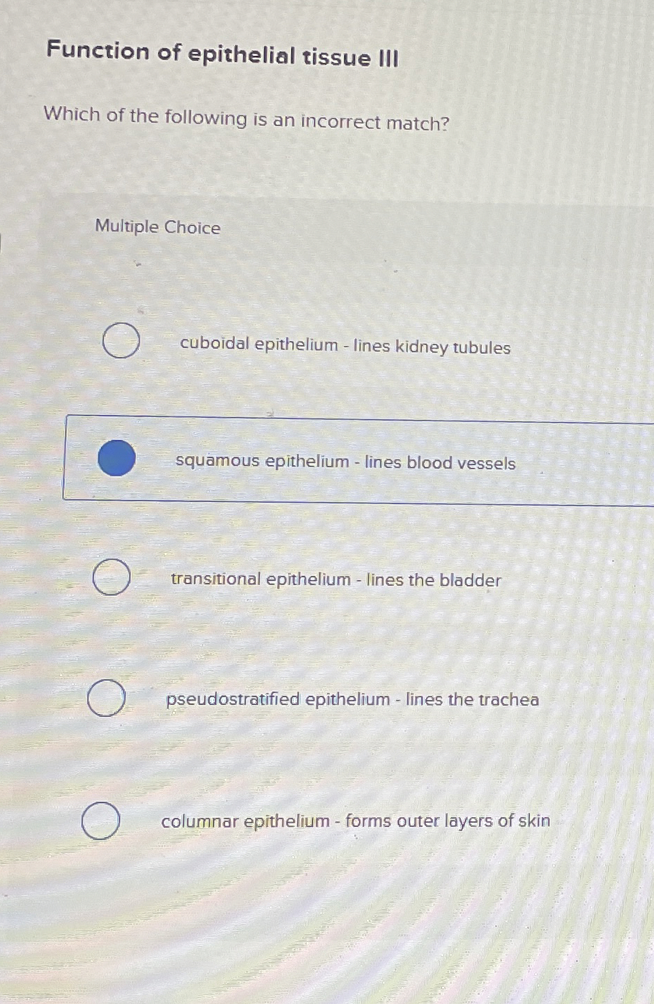 Solved Function of epithelial tissue IIIWhich of the | Chegg.com