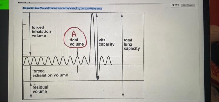 Solved 2 points Respiration Cowed person sobresorting house | Chegg.com