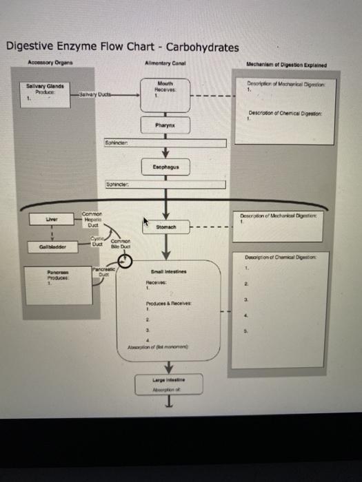 2. Fill in the flow charts provided for each group of | Chegg.com