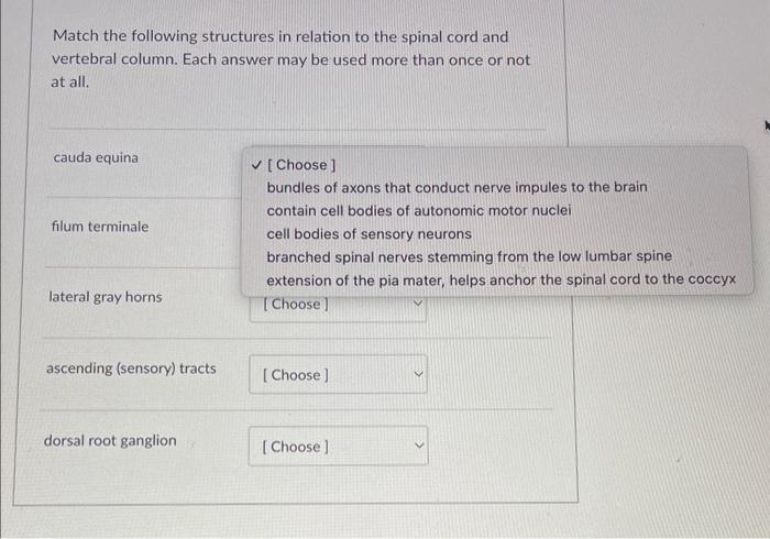 Solved Match the following structures in relation to the | Chegg.com