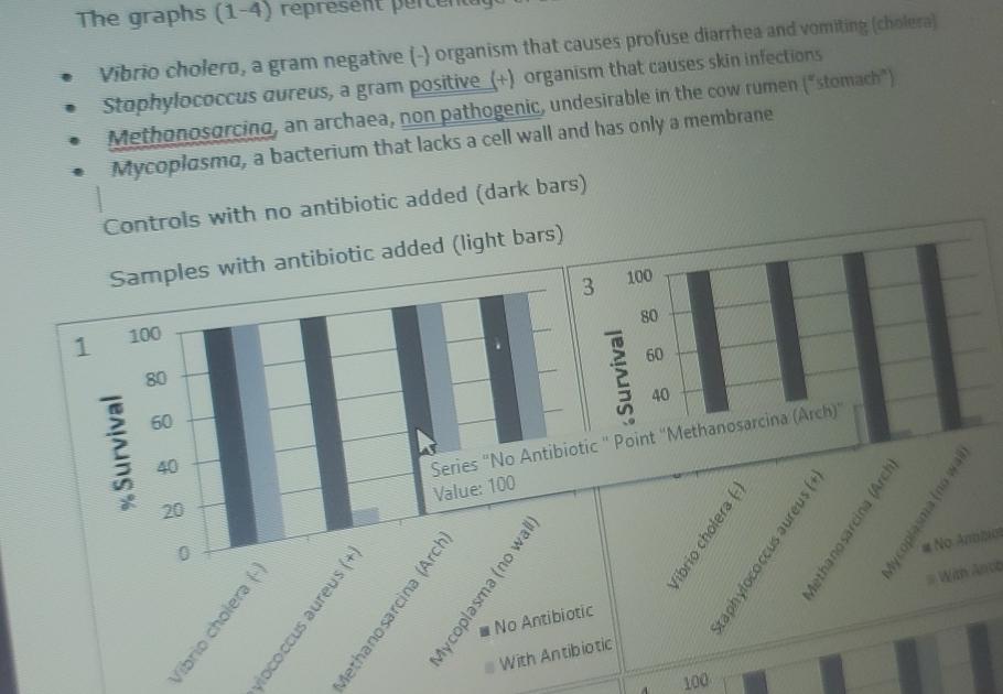 Solved The graphs (1-4) ﻿representVibrio cholero, a gram | Chegg.com