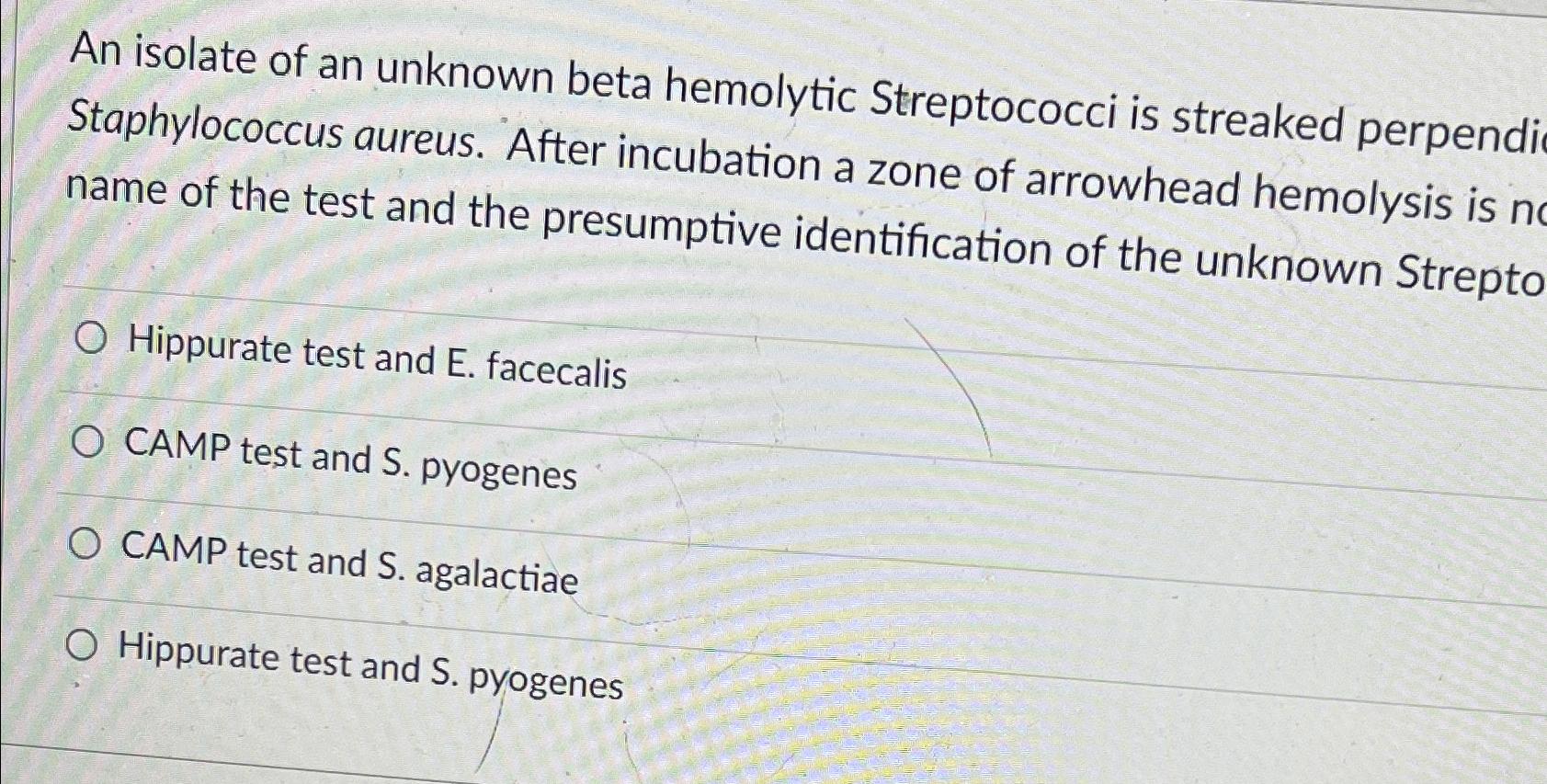 Solved An isolate of an unknown beta hemolytic Streptococci | Chegg.com