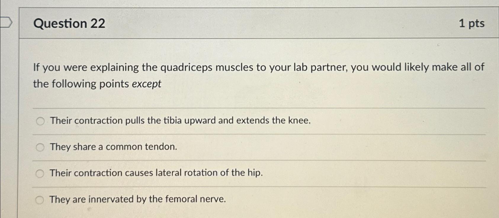 Solved Question 221 ﻿ptsIf you were explaining the | Chegg.com