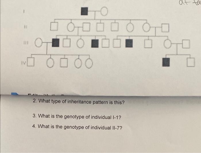 Solved 2. What type of inheritance pattern is this? 3. What | Chegg.com