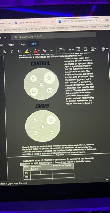 Figure 2. Demmy's test results (pottom). The | Chegg.com