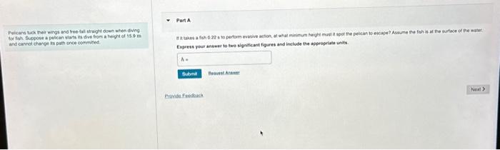Solved Pelicans tuck their wings and free-fall straight down | Chegg.com