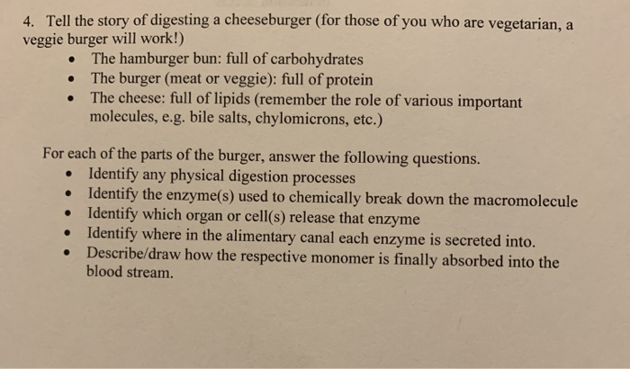 Solved . 4. Tell the story of digesting a cheeseburger (for | Chegg.com