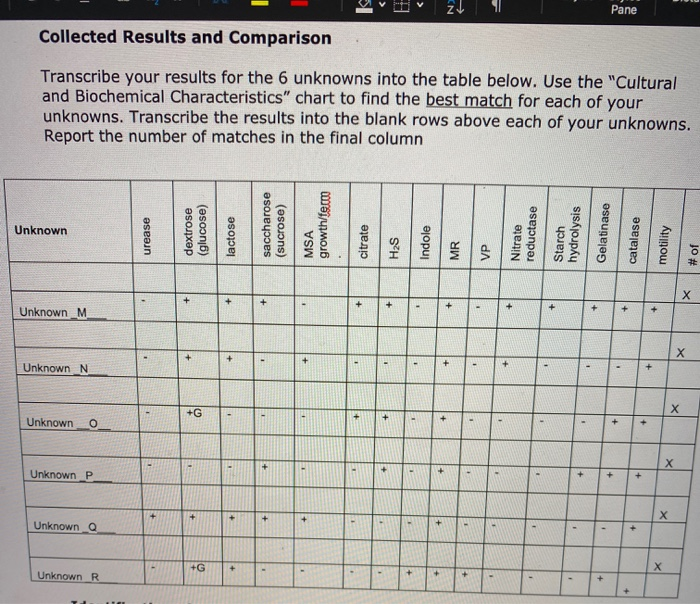 Solved Identification of unknowns (9 pts) Compare your | Chegg.com