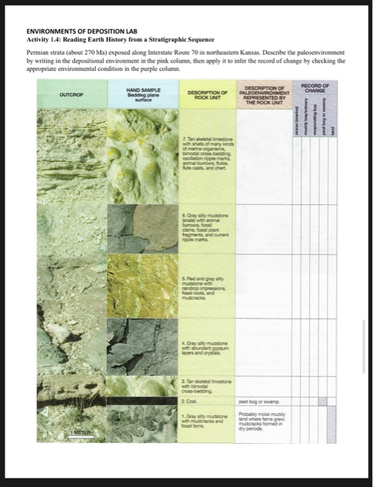 Solved ENVIRONMENTS OF DEPOSITION LAB Activity 1.4: Reading | Chegg.com