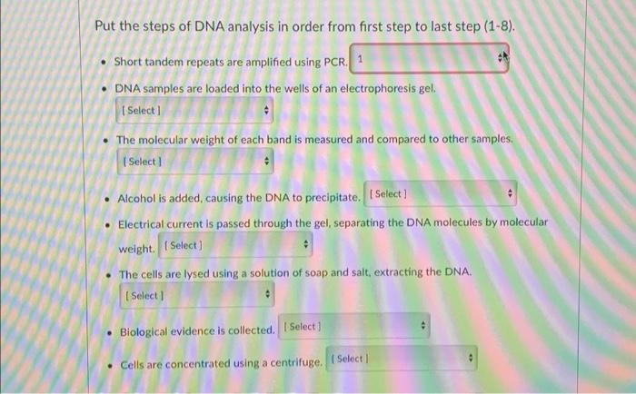 Solved Put the steps of DNA analysis in order from first | Chegg.com