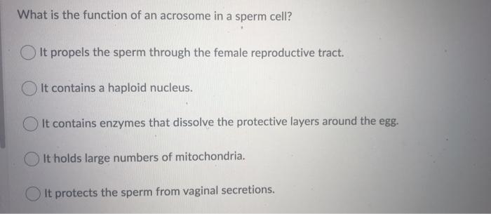 Solved What is the function of an acrosome in a sperm cell? | Chegg.com