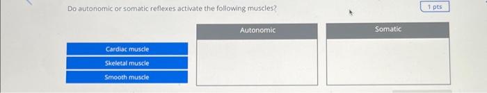Solved Do autonomic or somatic reflexes activate the | Chegg.com