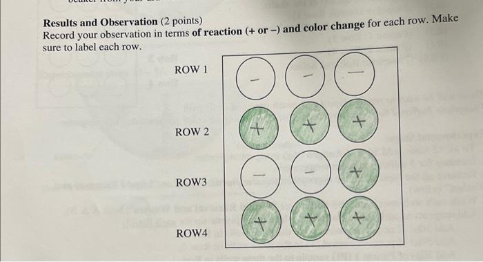 Solved Results and Observation ( 2 points) Record your | Chegg.com