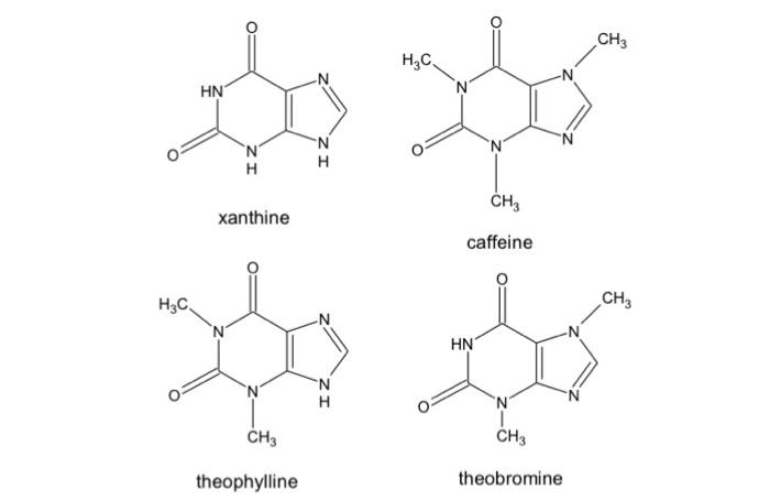 Solved 4. Look at the structures of the four common | Chegg.com