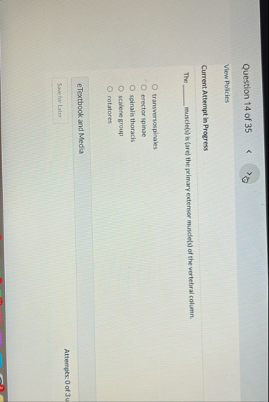 Solved Question 14 ﻿of 35View PoliciesCurrent Attempt in | Chegg.com