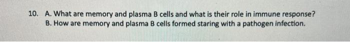 Solved 0. A. What are memory and plasma B cells and what is | Chegg.com