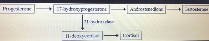 Solved The attached diagram (Cortisol Synthesis Pathway.jpg) | Chegg.com