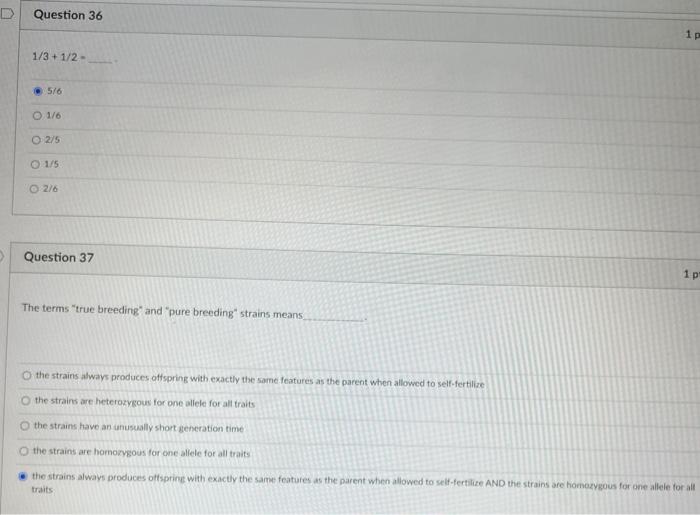 Solved Question 36 1/3+1/2= 5/6 1/6 2/5 1/15 2/8 Question 37 | Chegg.com