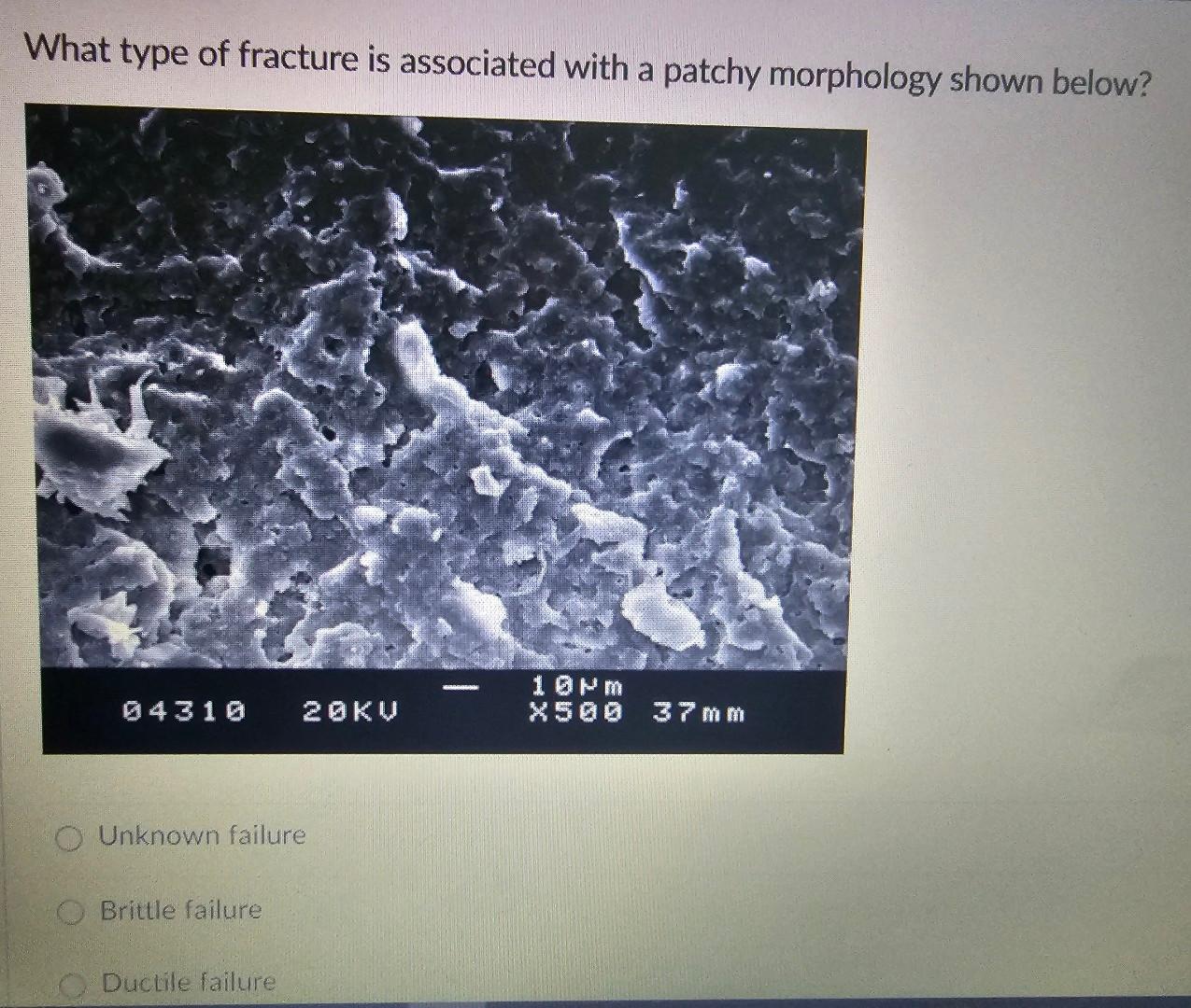 Solved What type of fracture is associated with a patchy | Chegg.com