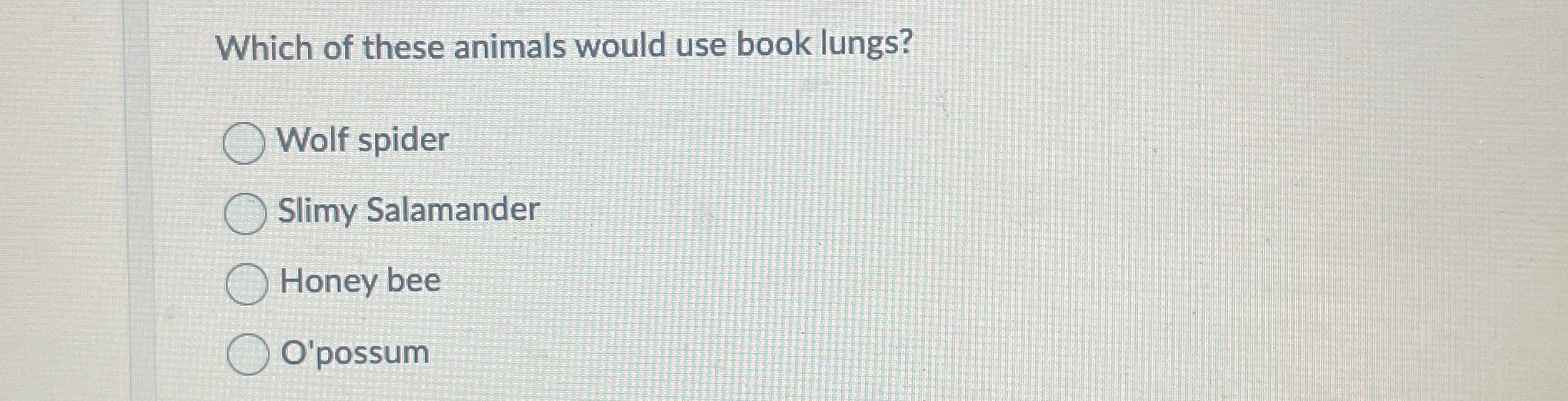 Solved Which of these animals would use book lungs?Wolf | Chegg.com