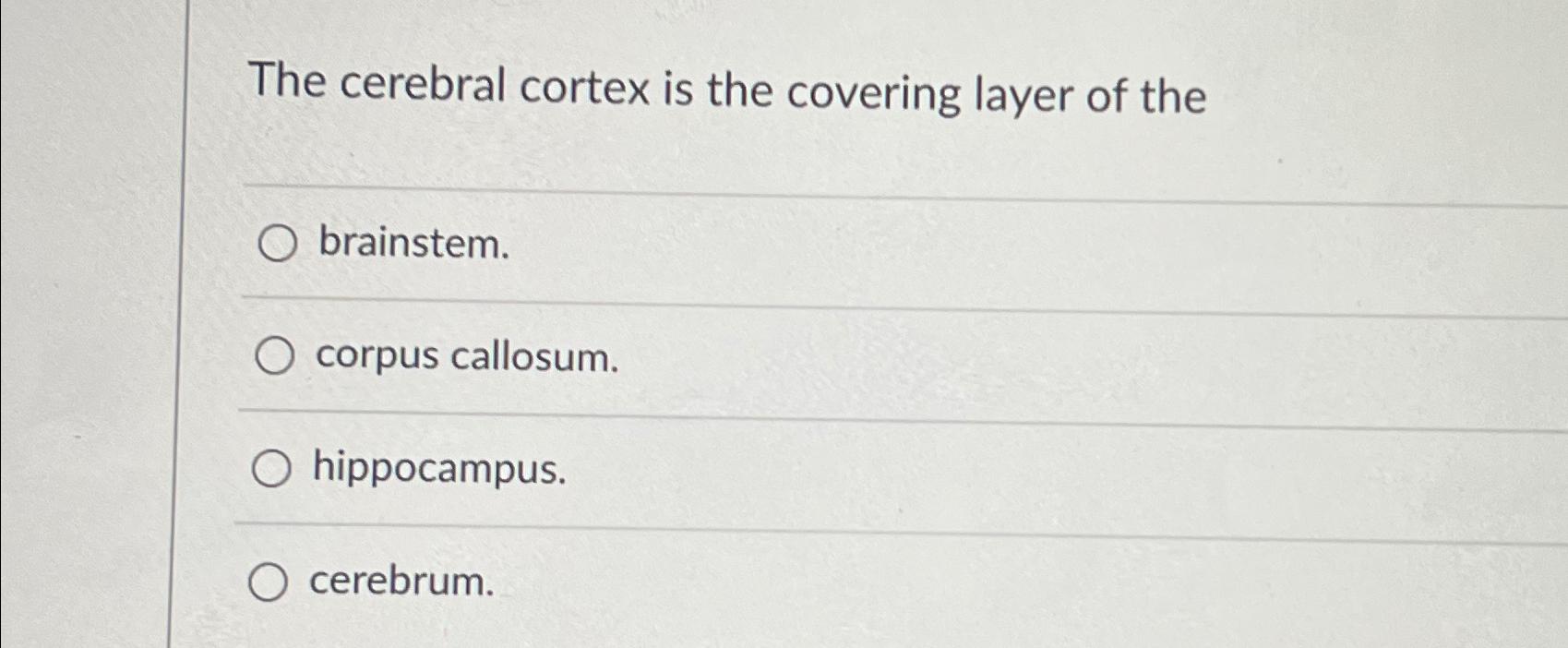 Solved The cerebral cortex is the covering layer of | Chegg.com