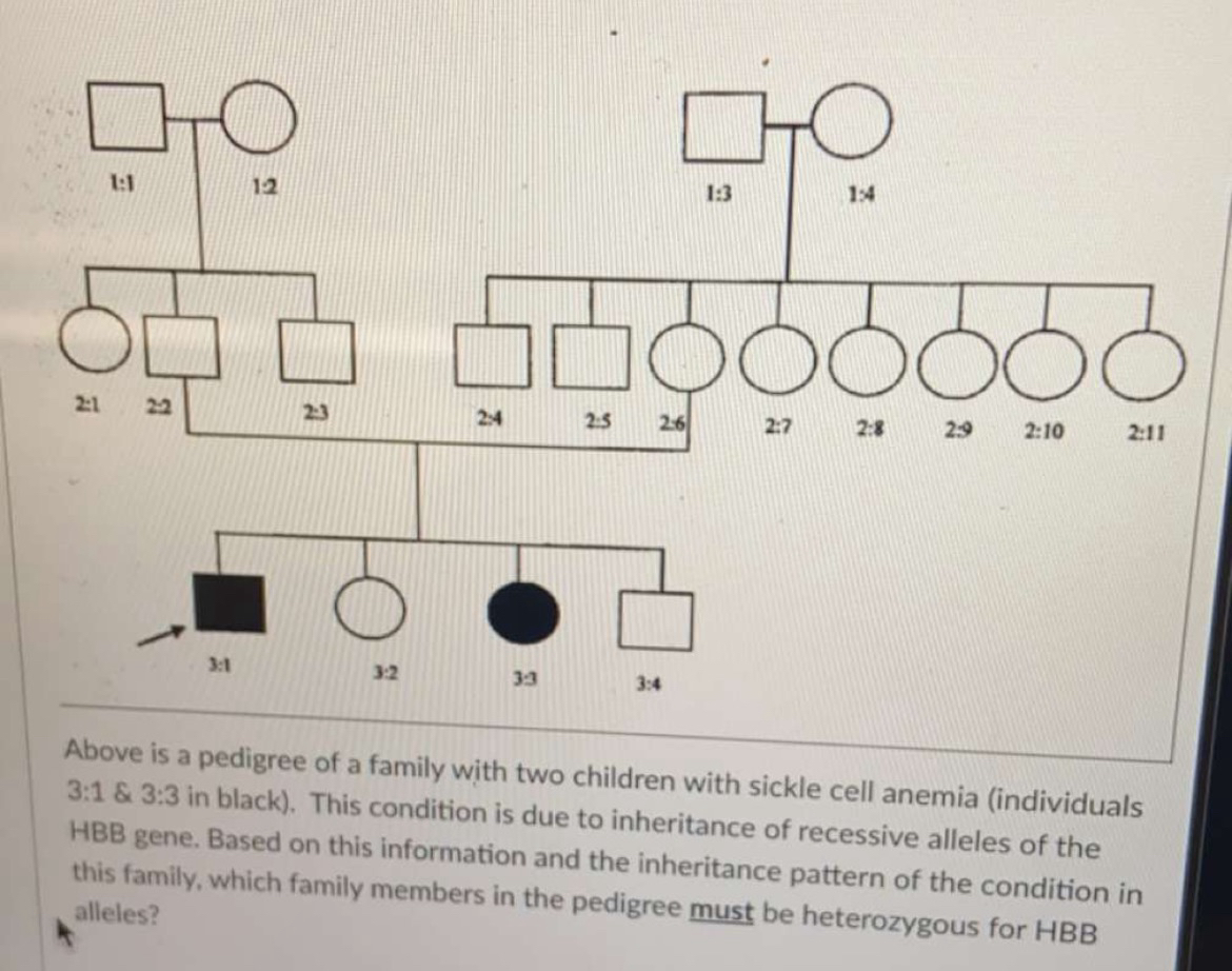 Solved Above is a pedigree of a family with two children | Chegg.com